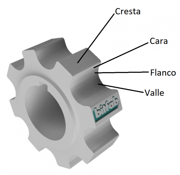 All you need to know about gears. Types and parts - Bitfab